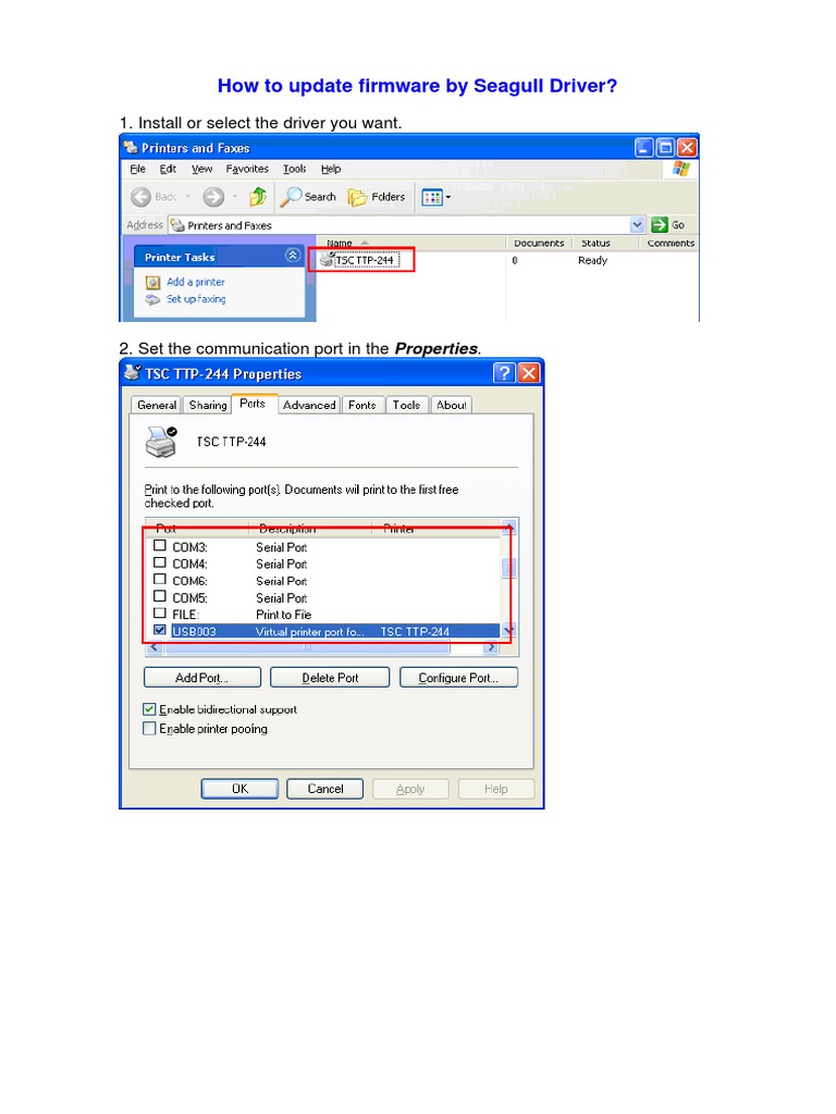 Update Firmware via Seagull Driver | PDF