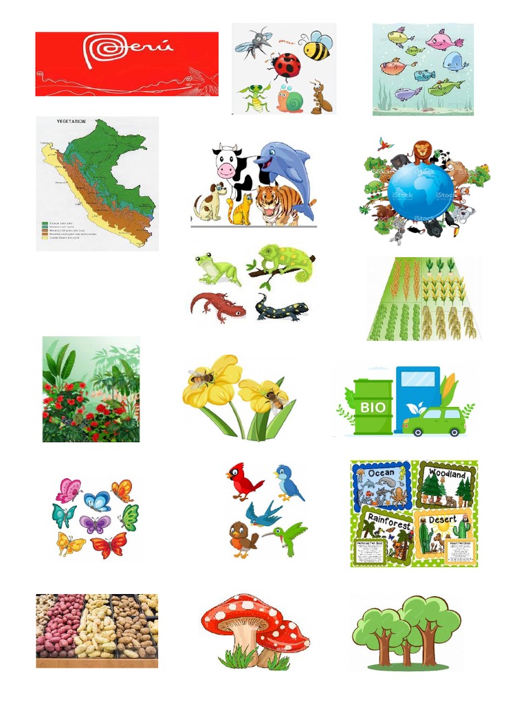 Biodiversity in Peru Imagenes | PDF