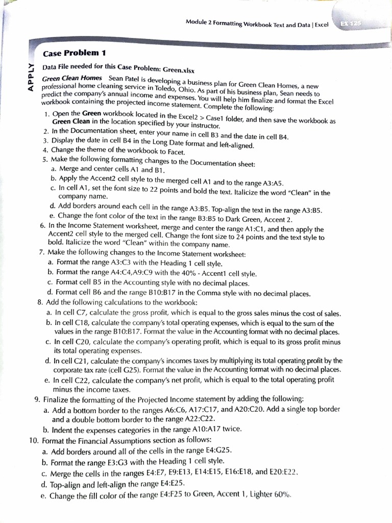 Module 2 Cases | PDF | Microsoft Excel | Worksheet