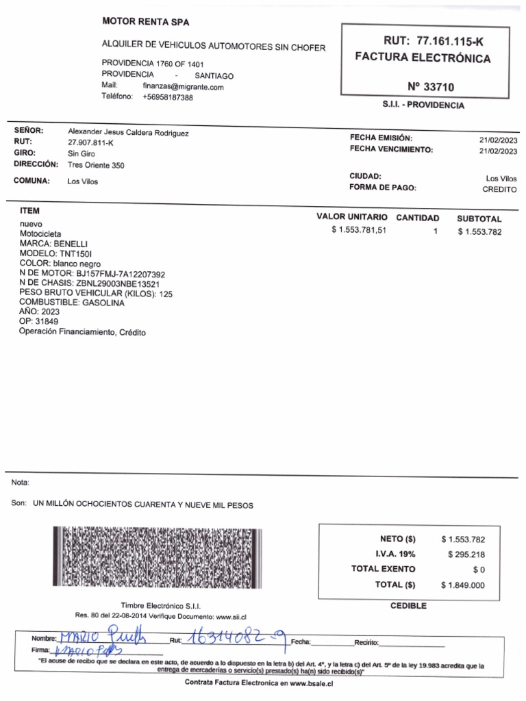 Alexander Caldera | PDF