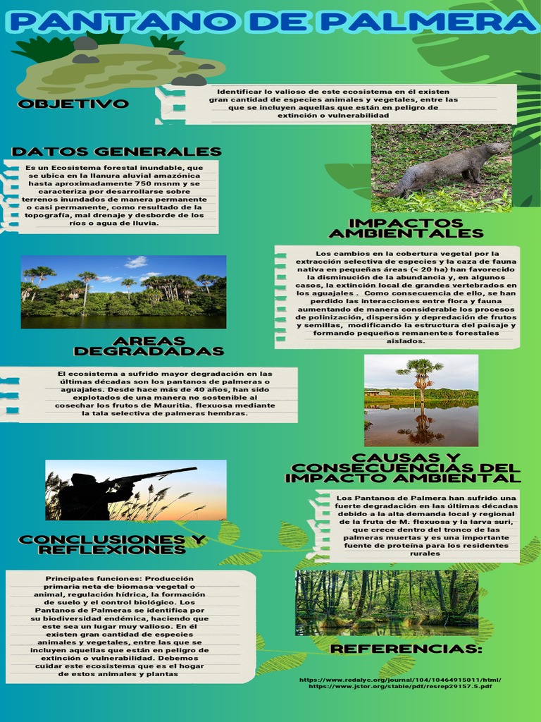 Pantano de Palmera | PDF | Ecosistema | Entorno natural