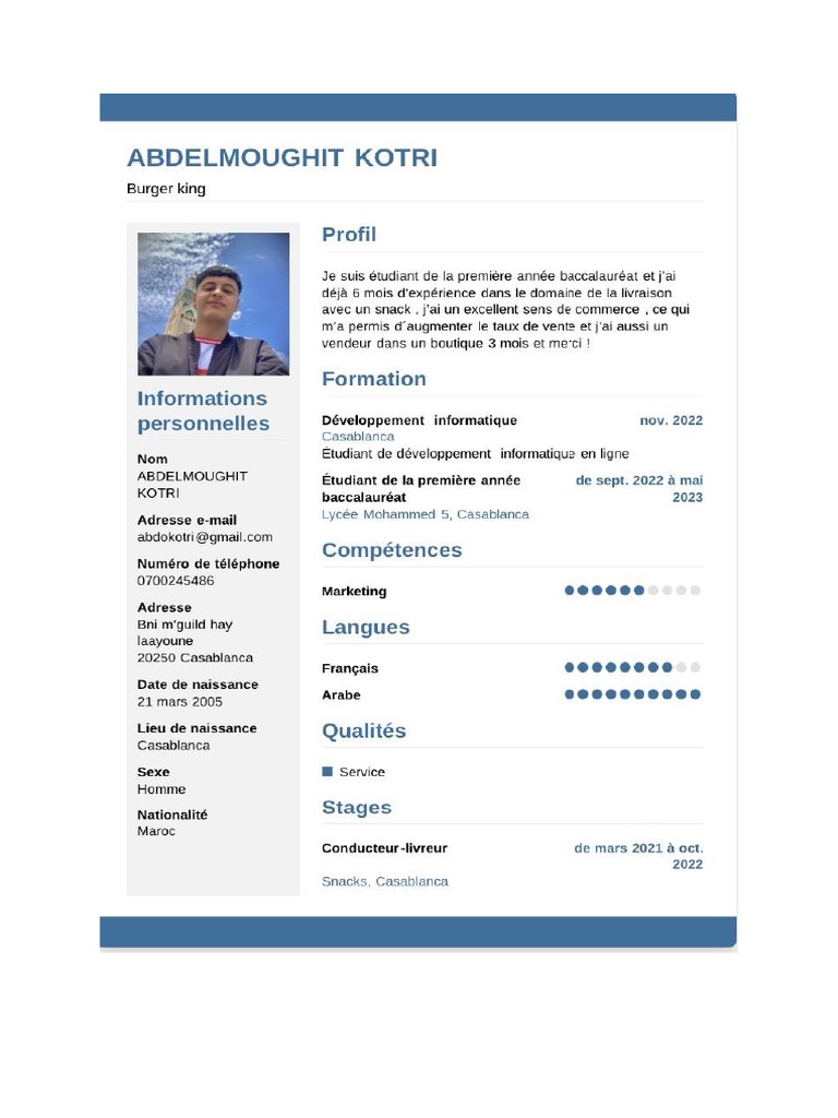 cv abdo | PDF