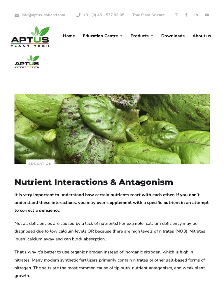 Nutrient Interactions & Antagonism - Aptus Holland | PDF | Plant Nutrition | Soil