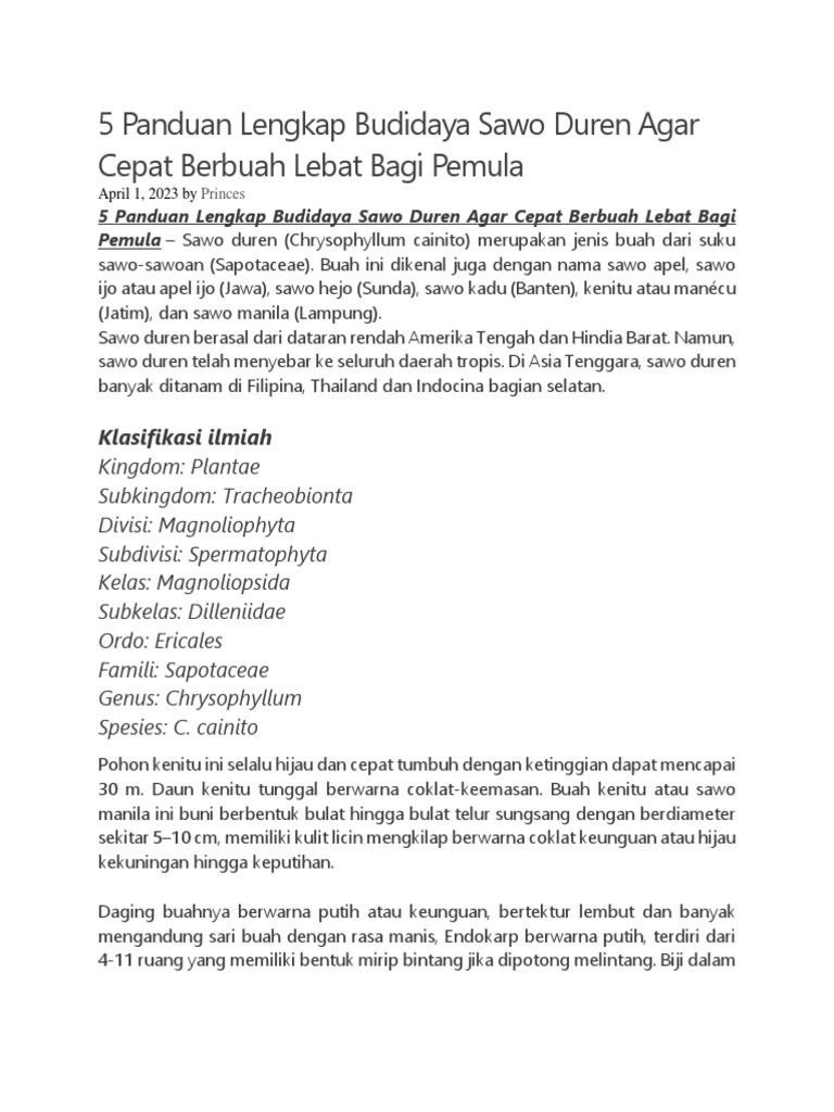 5 Panduan Lengkap Budidaya Sawo Duren Agar Cepat Berbuah Lebat Bagi ...