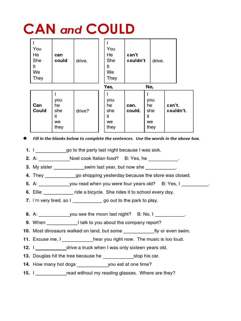 Can and Could Worksheet | PDF