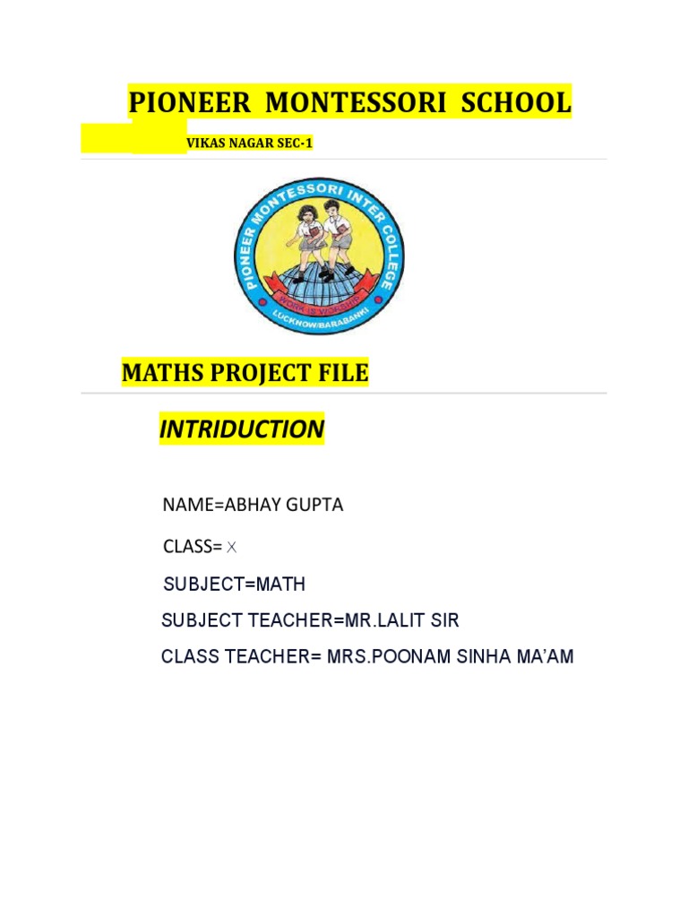 Abhay's Class X Maths Project | PDF