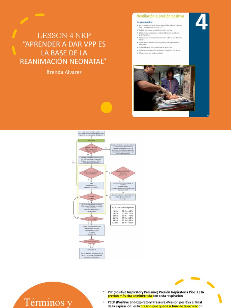 VPP en Reanimación Neonatal: Guía Práctica | PDF | Medicina CLINICA ...