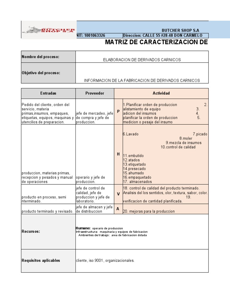 Matriz de Caracterizac Procesos.. | PDF | Calidad (comercial) | Business