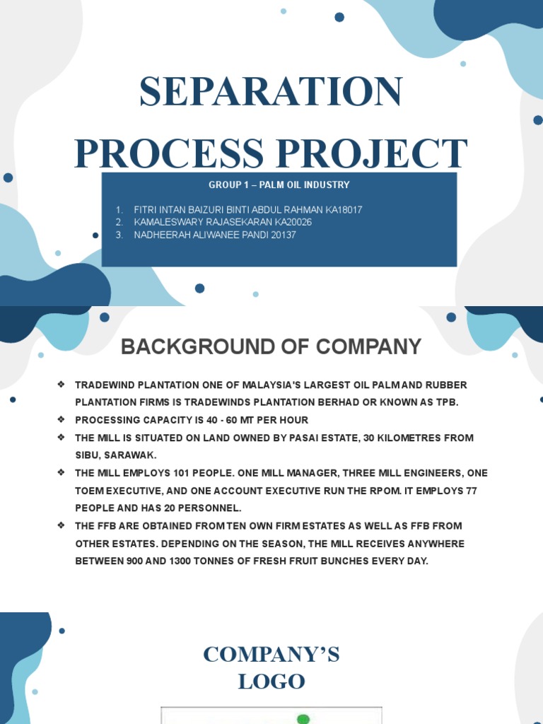 Final Project Separation Slide | PDF