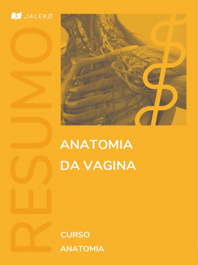 602d4f7824ef6 - ANATOMIA DA VAGINA COMPLETO | PDF | Vagina | Clitóris