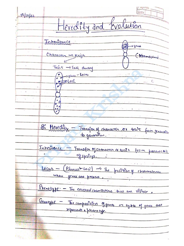 Class - 1,2 and 3 | PDF