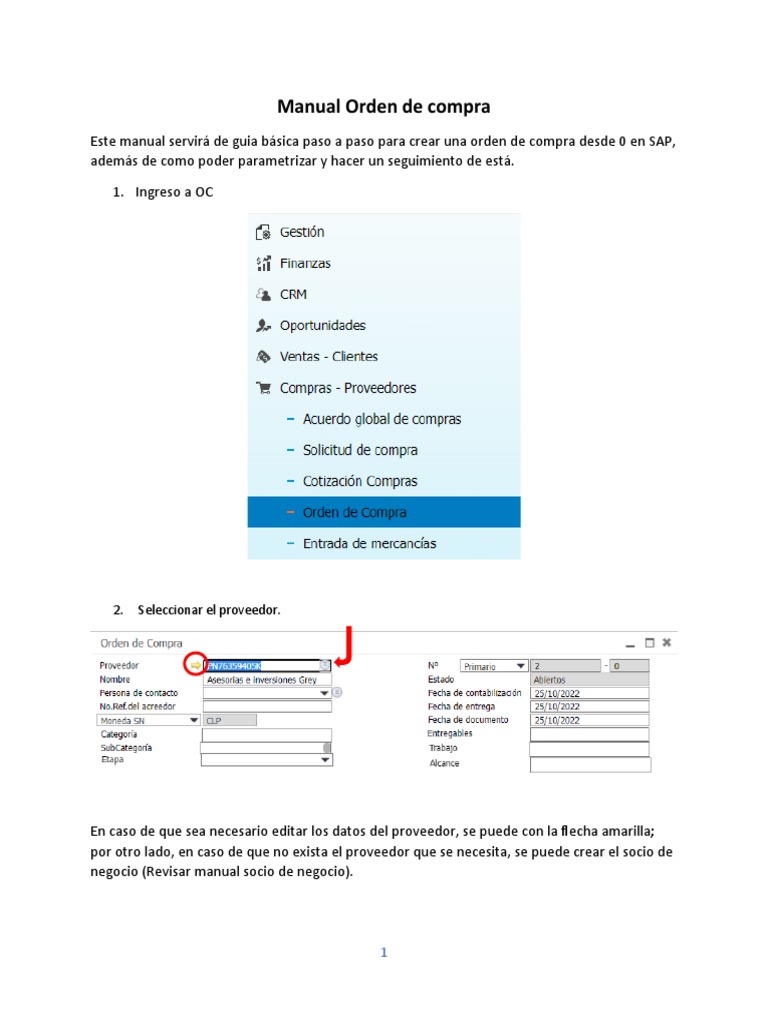 Manual Orden de Compra | PDF | Informática
