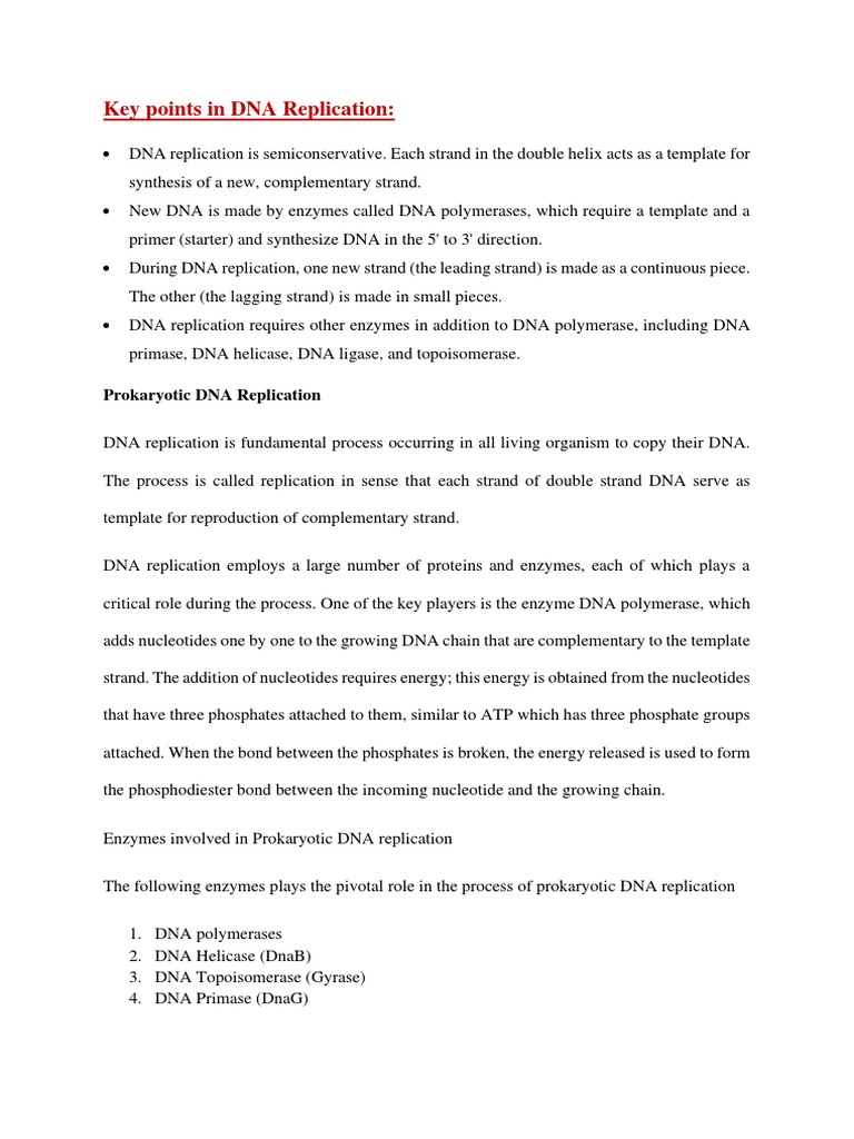 Prokaryotic and Eukaryotic DNA Replication | PDF