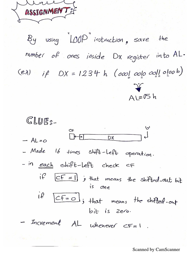 Assignment For Loop Instruction Pdf