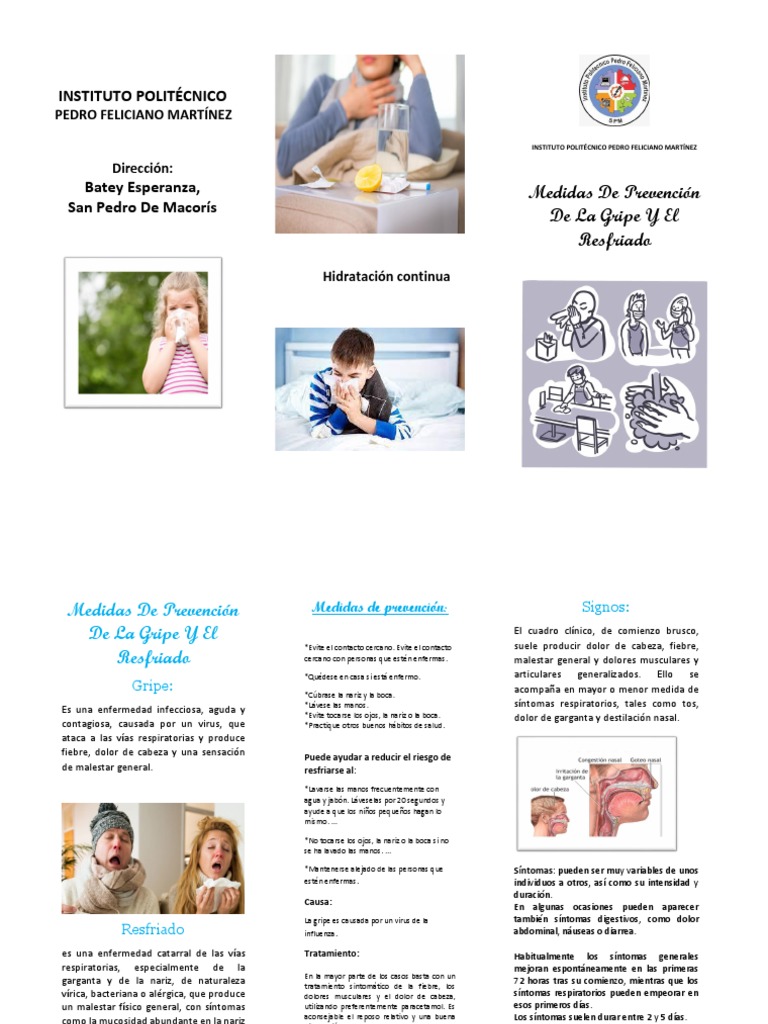 Medidas de Prevencion de Gripe y Resriado | PDF | Resfriado comun | Influenza
