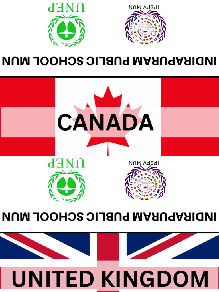 Model United Nations Pluck Card | PDF