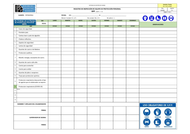 9.revision Diaria de Epp | PDF