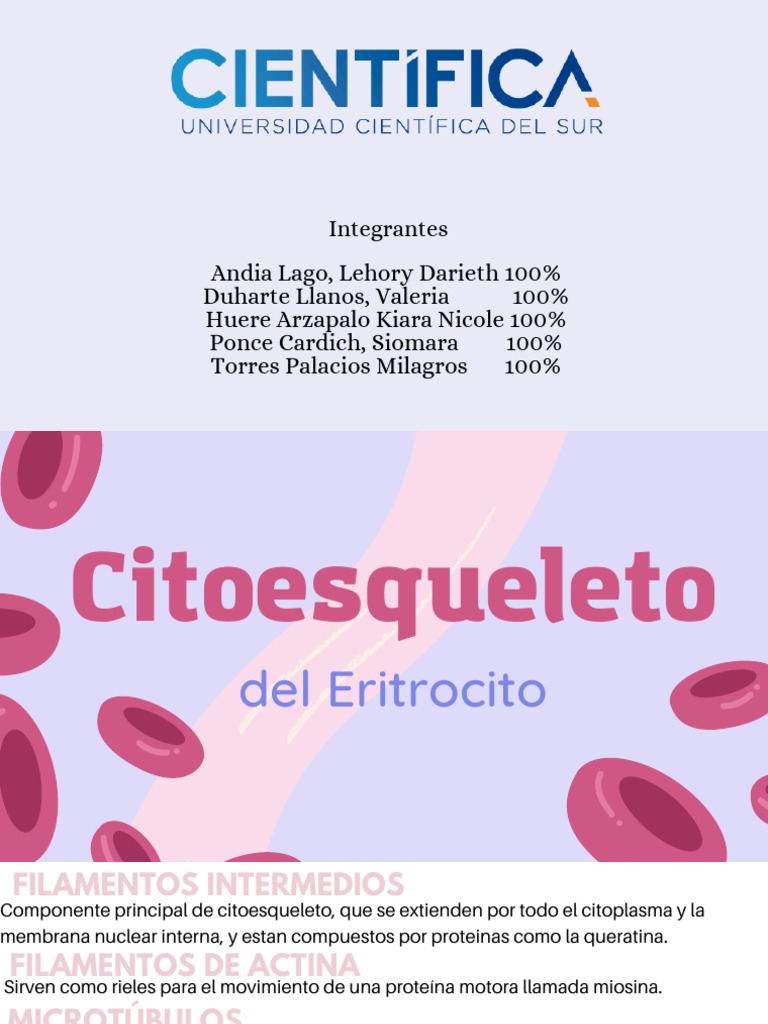 Estructura y Función del Eritrocito | PDF | Glóbulo rojo | Sangre