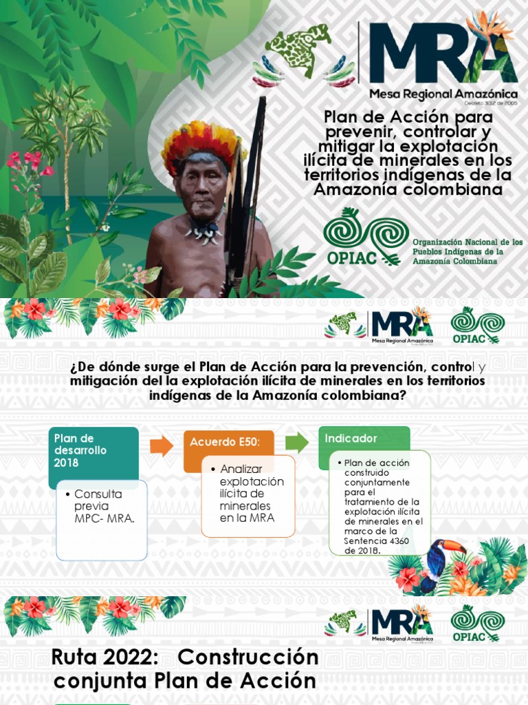 Plan de Acción contra Explotación Minera Indígena | PDF | Minería ...