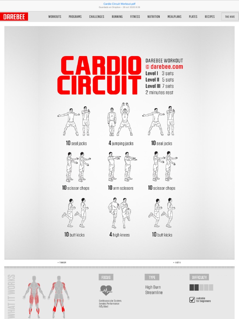 Cardio Circuit Workout | PDF | Computing | Software