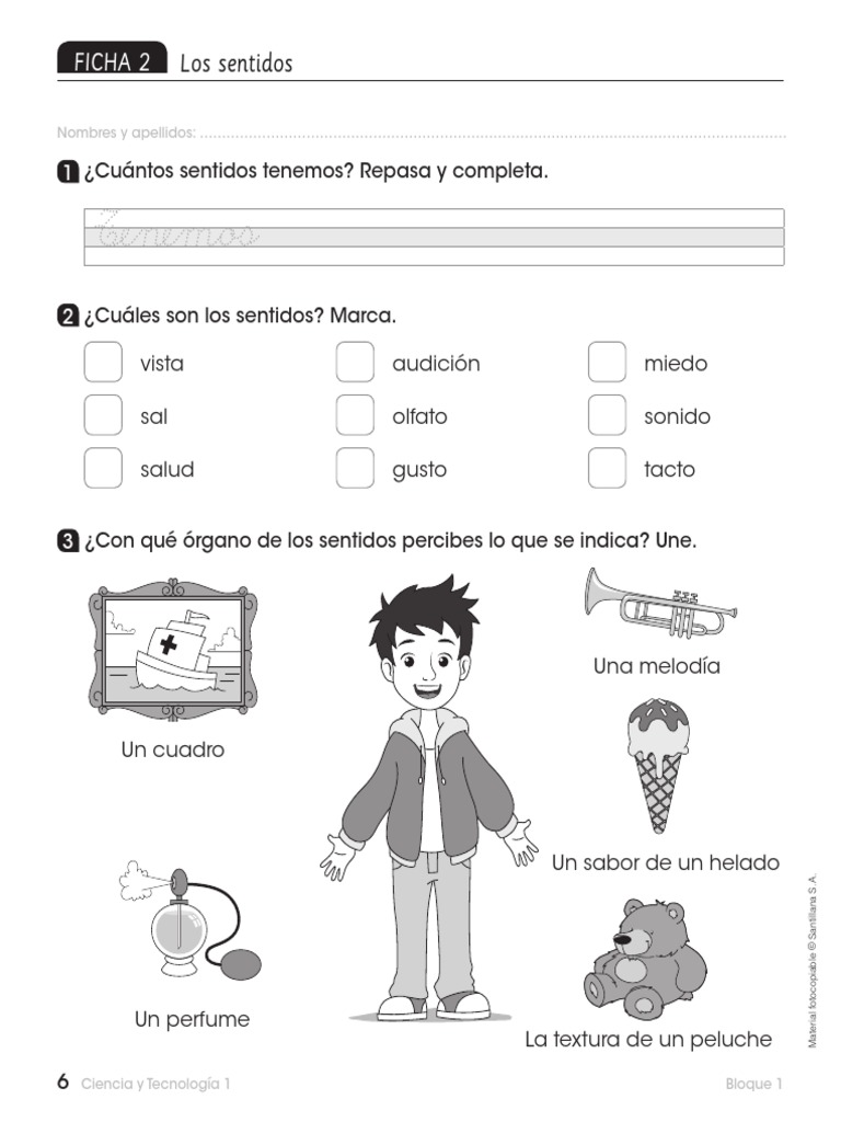 Ficha de los Sentidos para Primaria | PDF