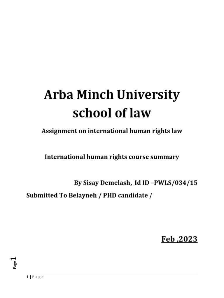 International Human Rights Assignment | PDF | Human Rights | Treaty