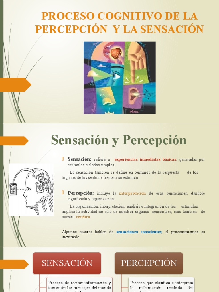 Proceso Cognitivo de La Percepcion y La Sensacion | PDF | Percepción ...