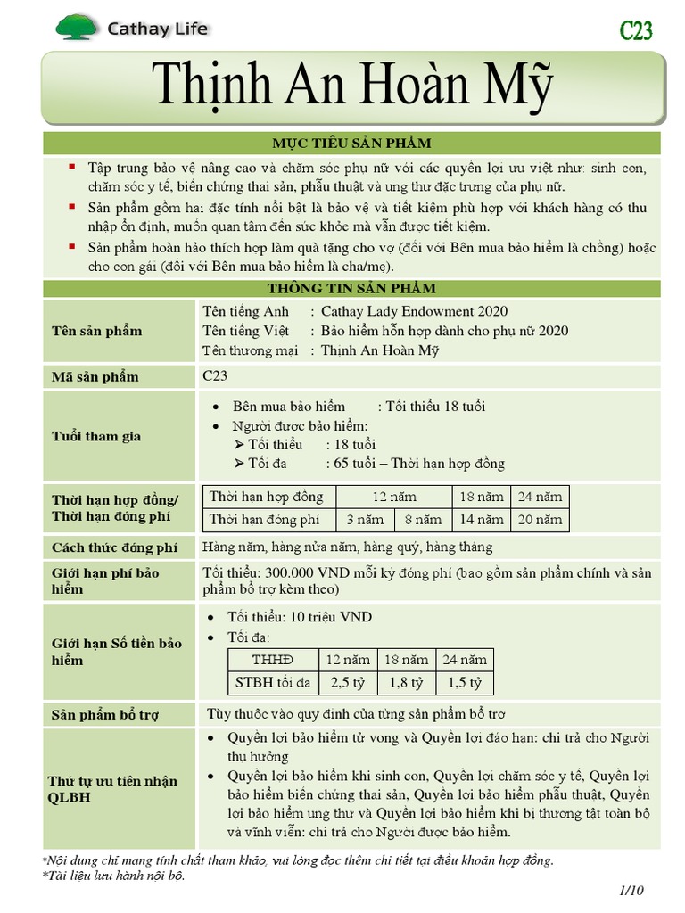 C23 Feature VN | PDF