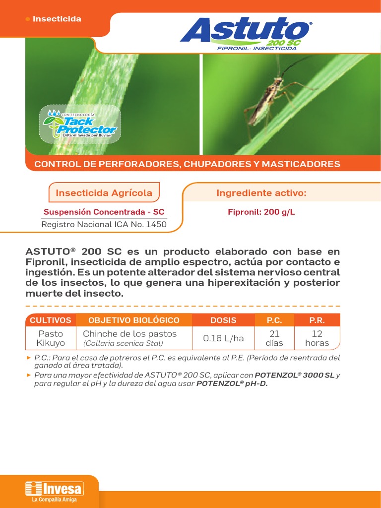 Astuto | PDF