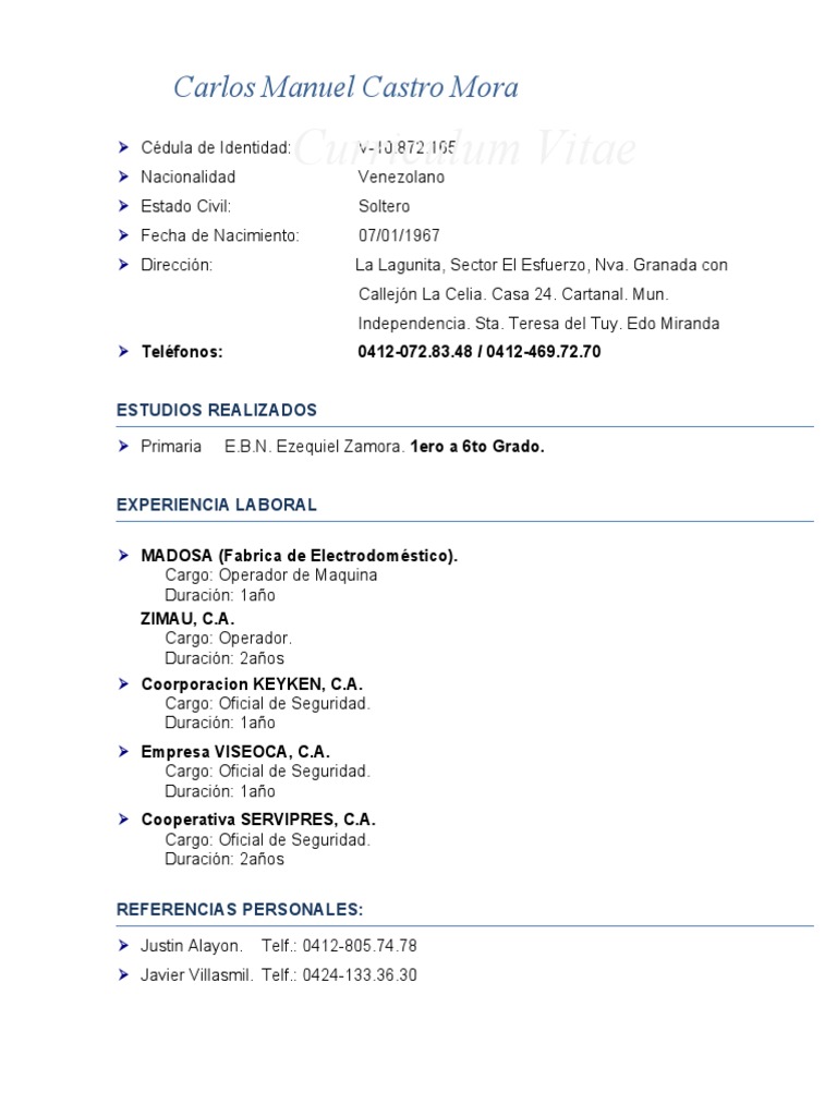 CURRICULUM CARLOS MANUEL CASTRO MORA | PDF