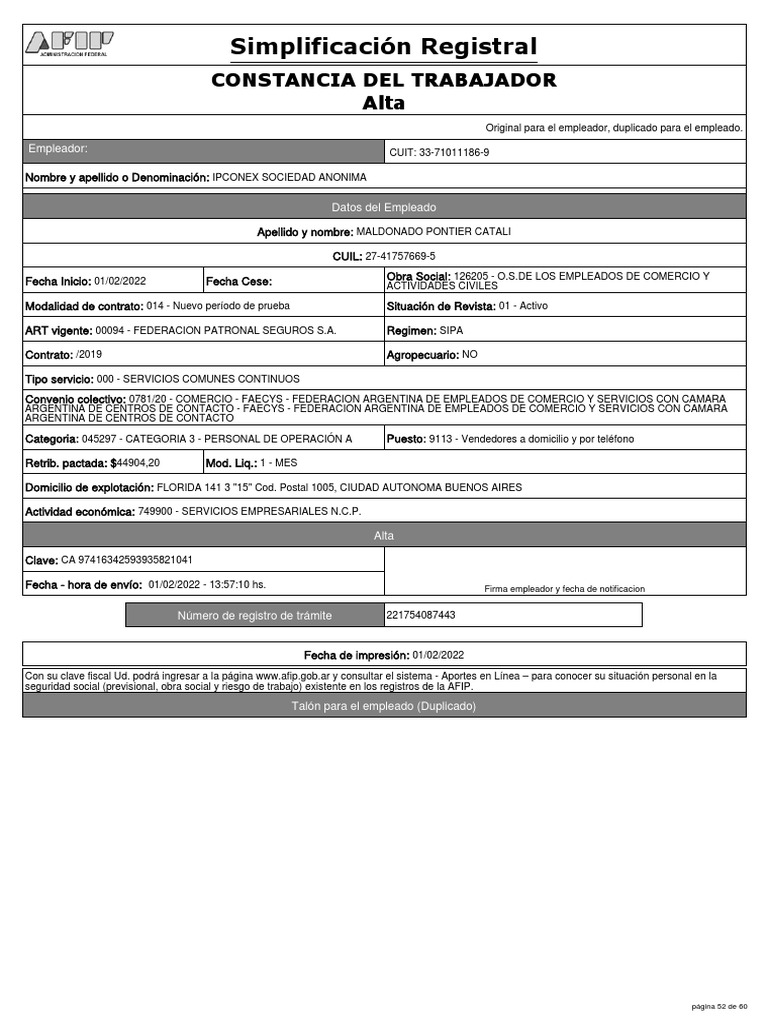 Alta Afip - Maldonado Pontieri Antelo Catalina Natalia | PDF | Business ...