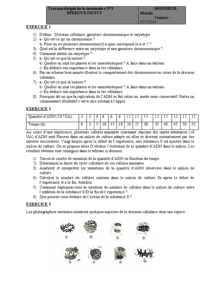 Travaux Dirigés de La Terminale S N°3 | PDF | Chromosome | Cellule (Biologie)