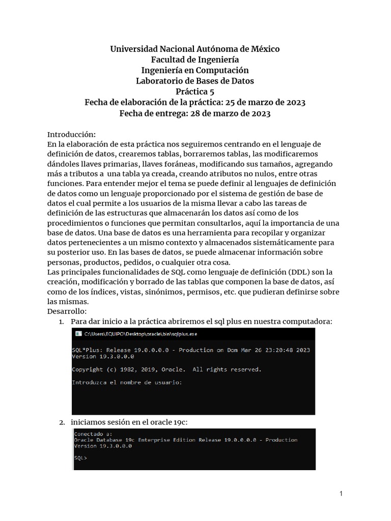 Practica 5 - Bases de Datos - Completa | PDF | Bases de datos | SQL