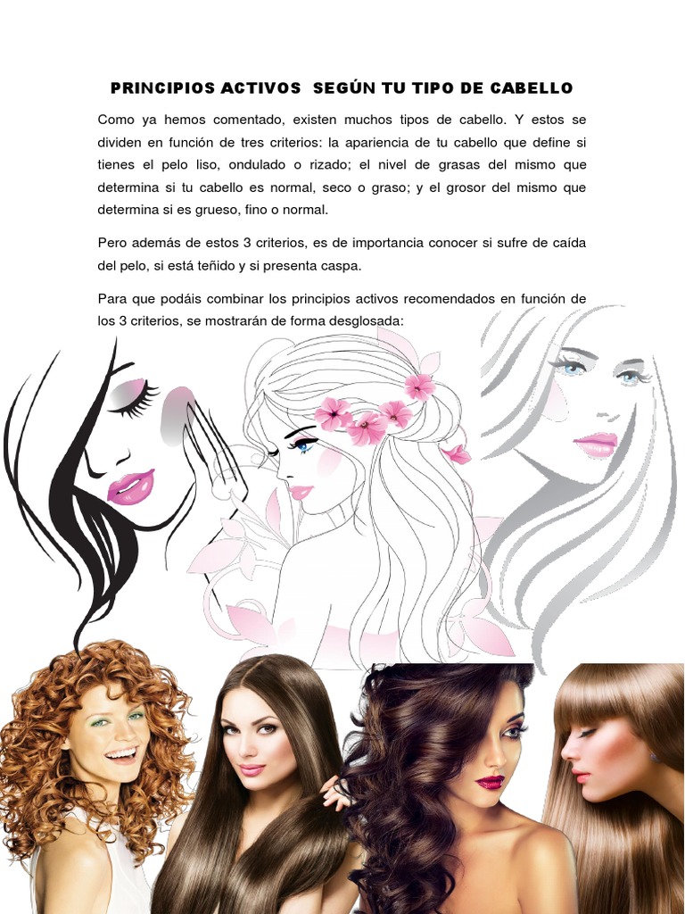 Principios Activos Segun Tu Tipo de Cabello | PDF | Champú | Pelo