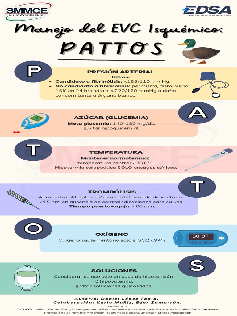 EVC ISQ Infografia | PDF