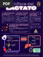 Hiperlactatemia: Causas y Tratamiento | PDF | Ácido láctico | Fisiología
