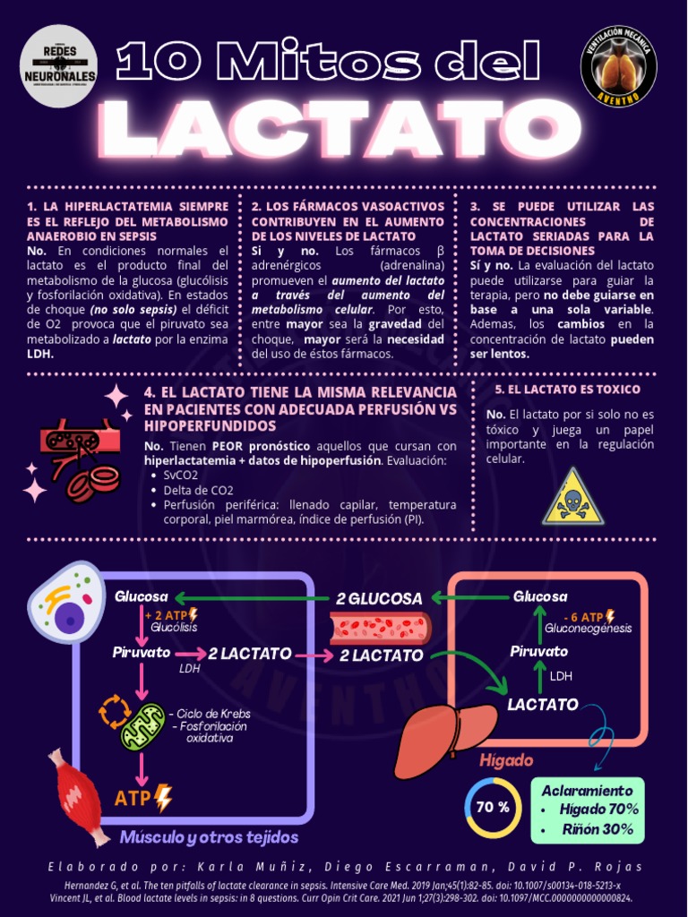 LACTATO | PDF | Glucólisis | Ácido láctico