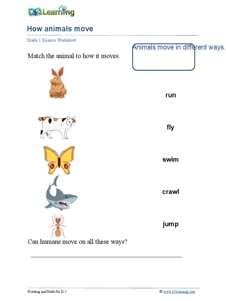 Animal Movement Worksheet for Grade 1 | PDF