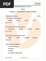 Cell Structure (Grade 6) - Free Printable Tests and Worksheets PDF ...