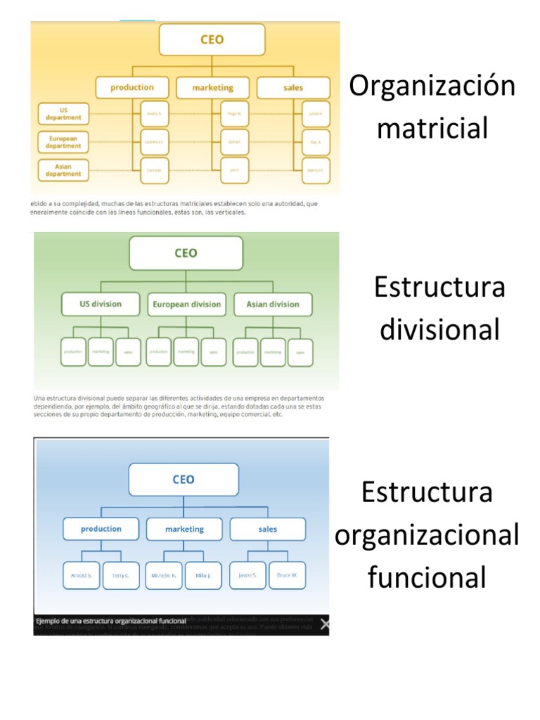 Estructura Organizacional | PDF