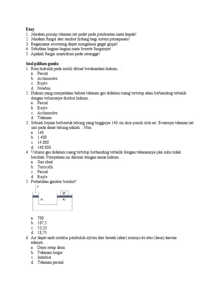 Soal IPA SEMESTER II | PDF | Sains & Matematika