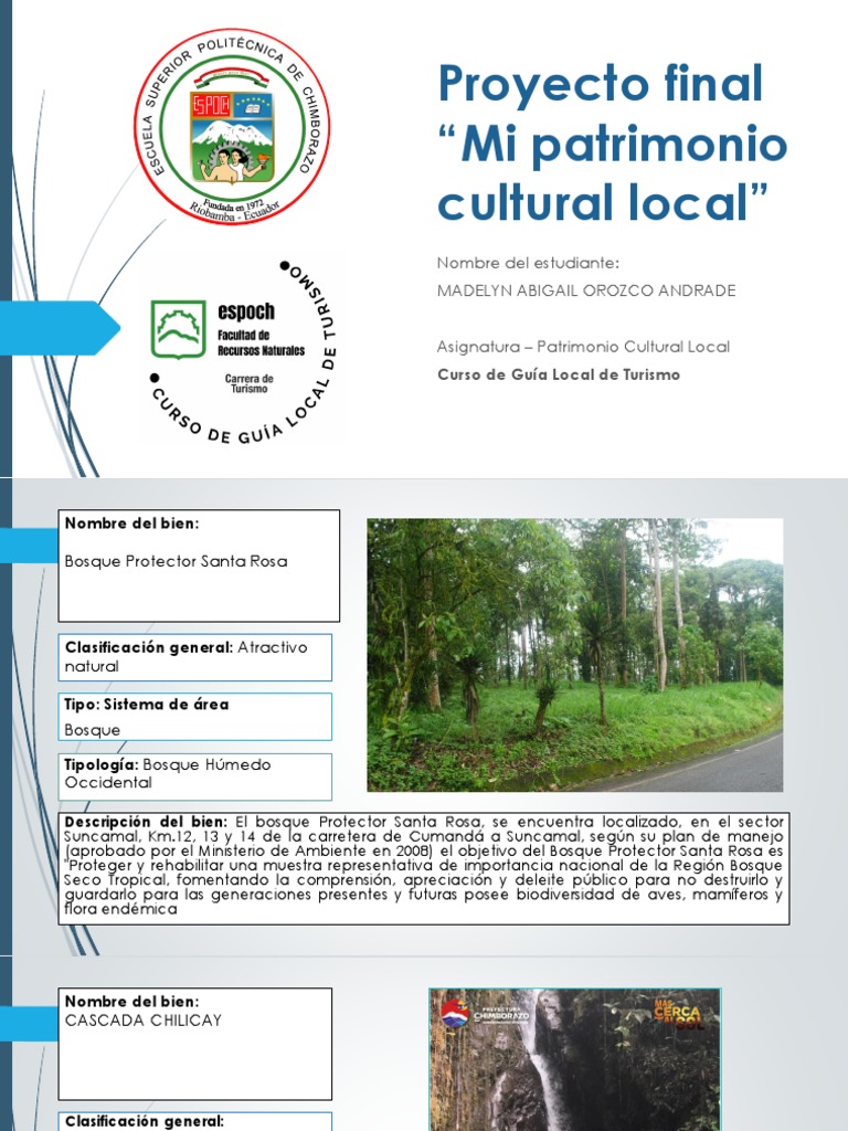 Proyecto Final - Patrimonio Cultural Local | PDF | Los bosques | Turismo