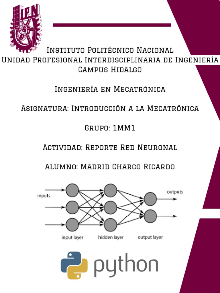 Red Neuronal | PDF | Red neuronal artificial | Neurona