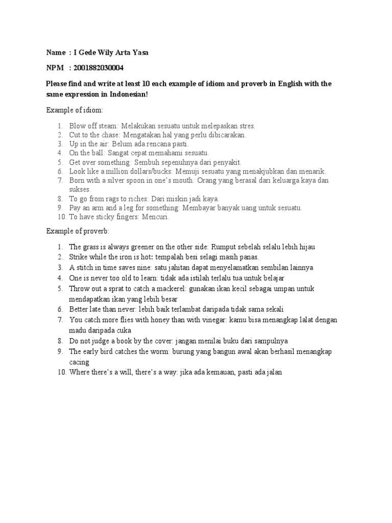 Example of Idiom and Proverb | PDF