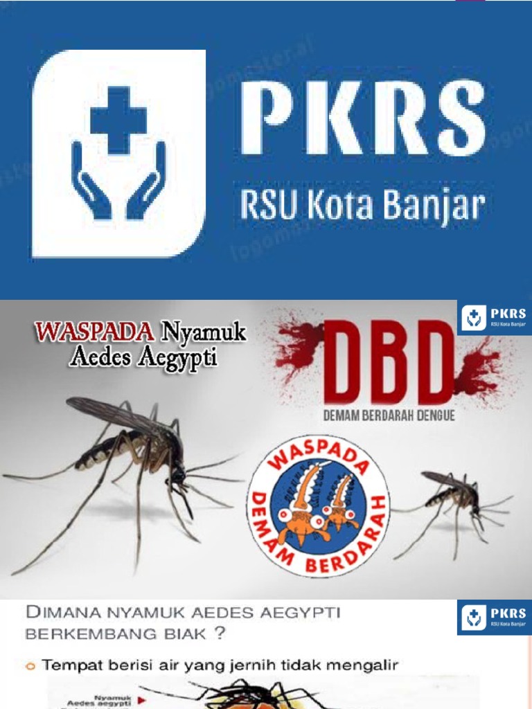 Slide Demam Berdarah | PDF