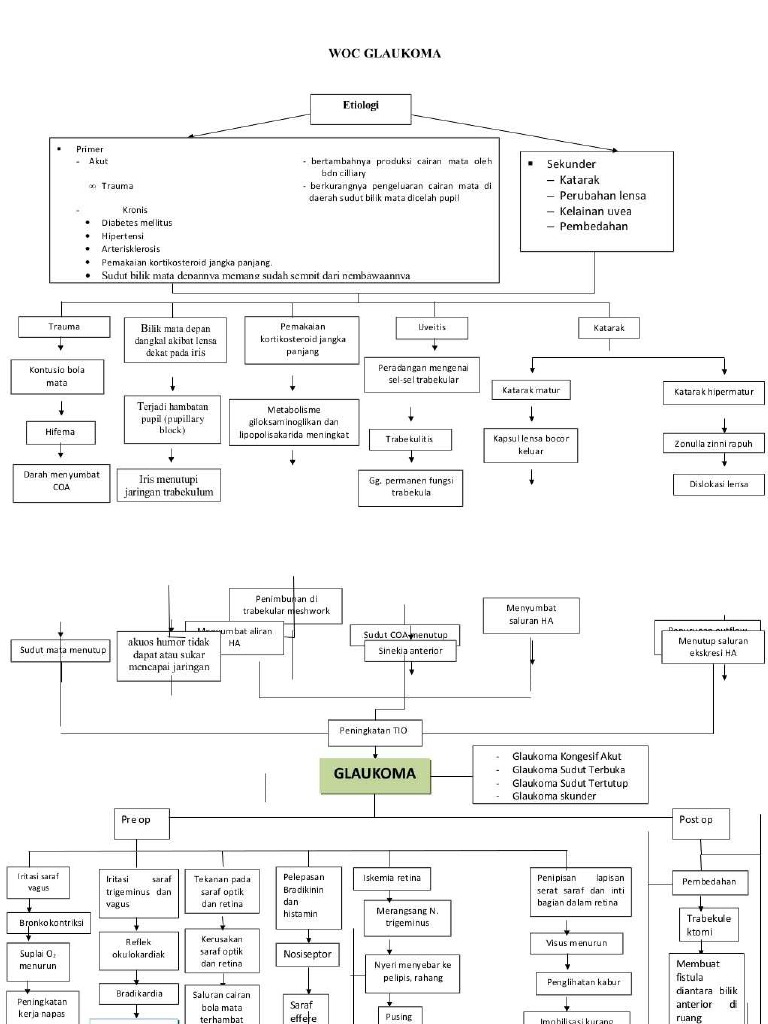 PDF Woc Penyakit Mata Glaukoma Compress | PDF
