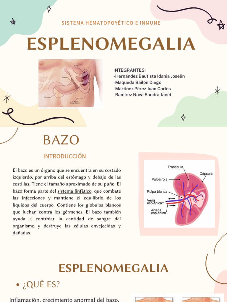 Esplenomegalia: Causas y Tratamientos | PDF | Bazo | Enfermedades y ...