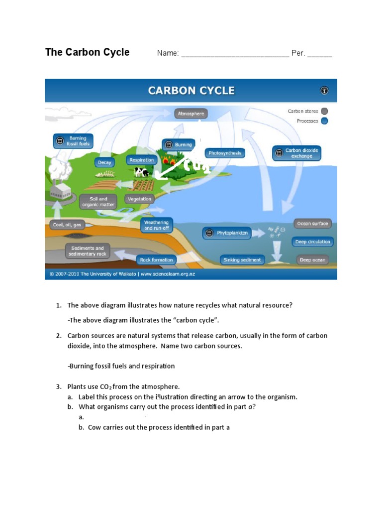 Understanding the Carbon Cycle | PDF | Carbon Cycle | Fuels