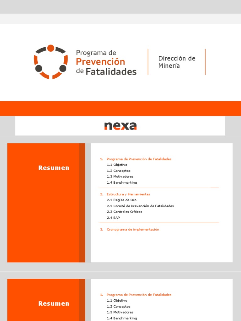 Controles Criticos NEXA | PDF | Planificación | Neumático