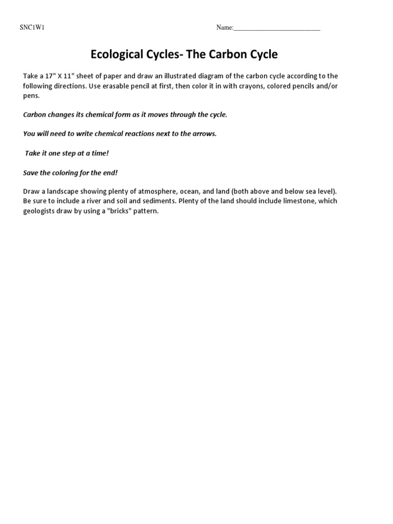 Illustrated Carbon Cycle Diagram Guide | PDF | Carbon Dioxide | Carbon ...
